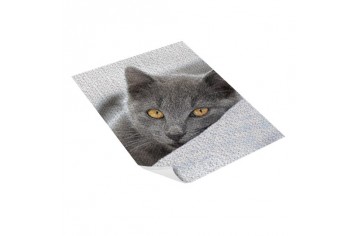 Toile Eco 420g - Duplicaprint.com